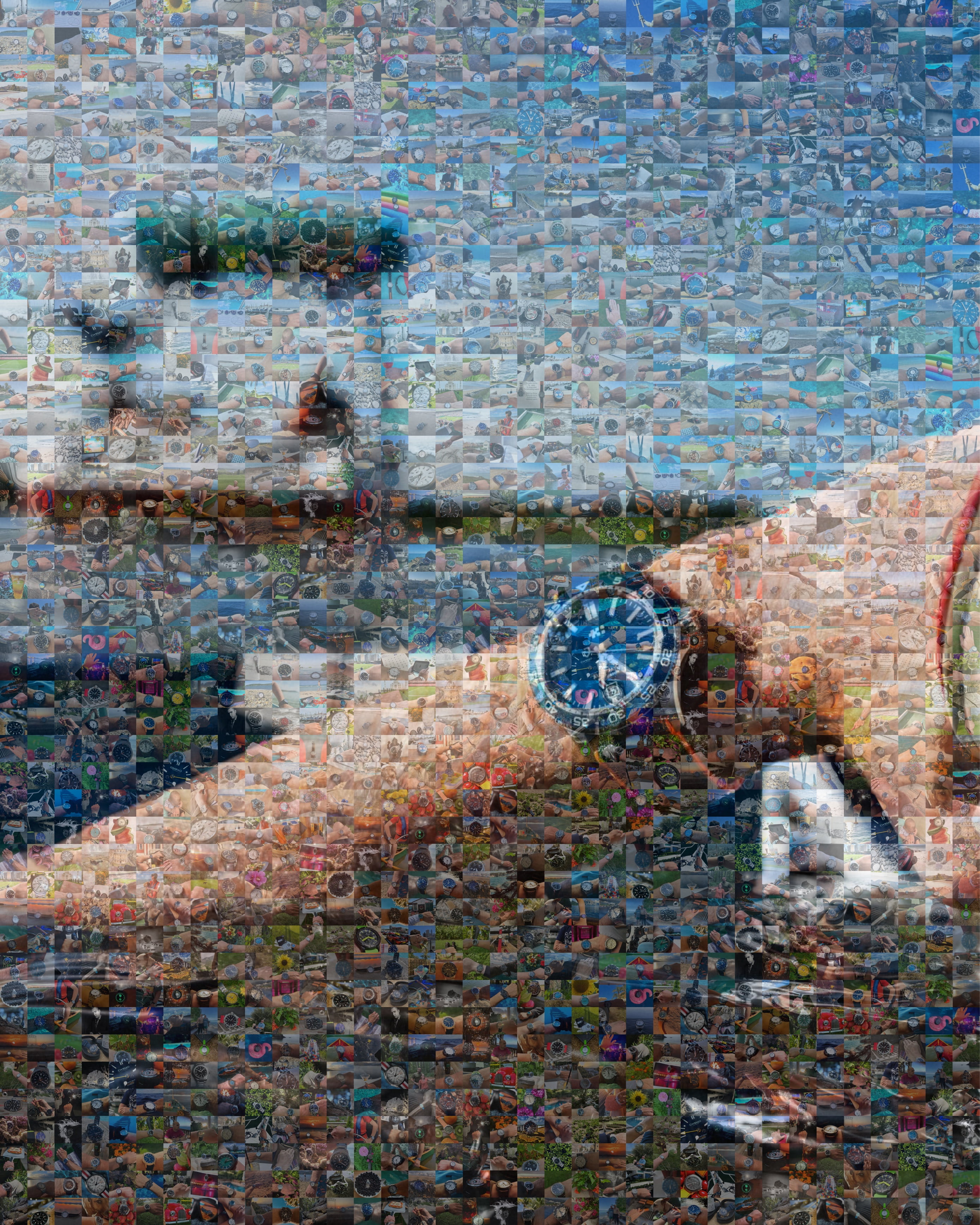 Trident Summer Loupe Landing